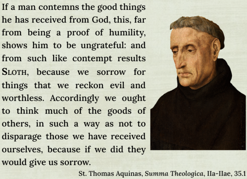 St. Thomas Aquinas On Overcoming Sin - Padre Pio Press