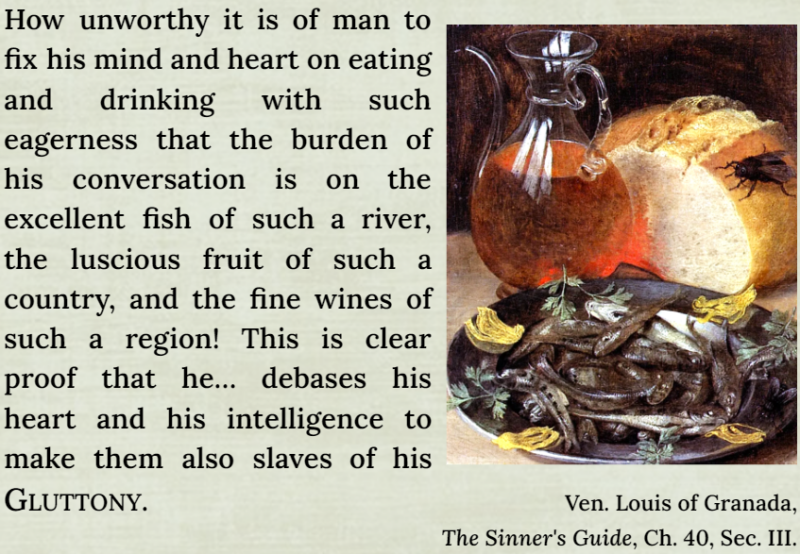 Ven. Louis of Granada on Overcoming Sin - Padre Pio Press