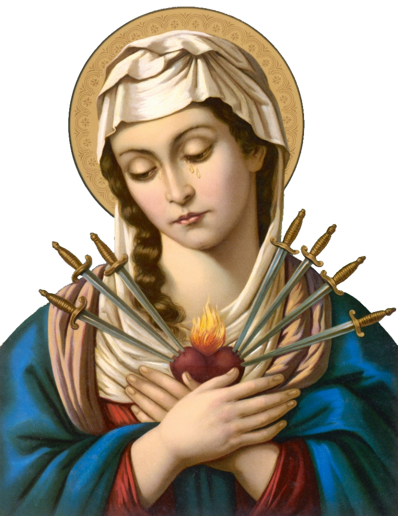 Theology of Reparation of the Immaculate Heart: Part III — A Talk by Fr ...